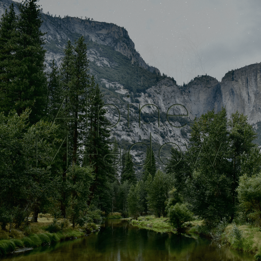 Alpine Meadow - Alpine Basin
